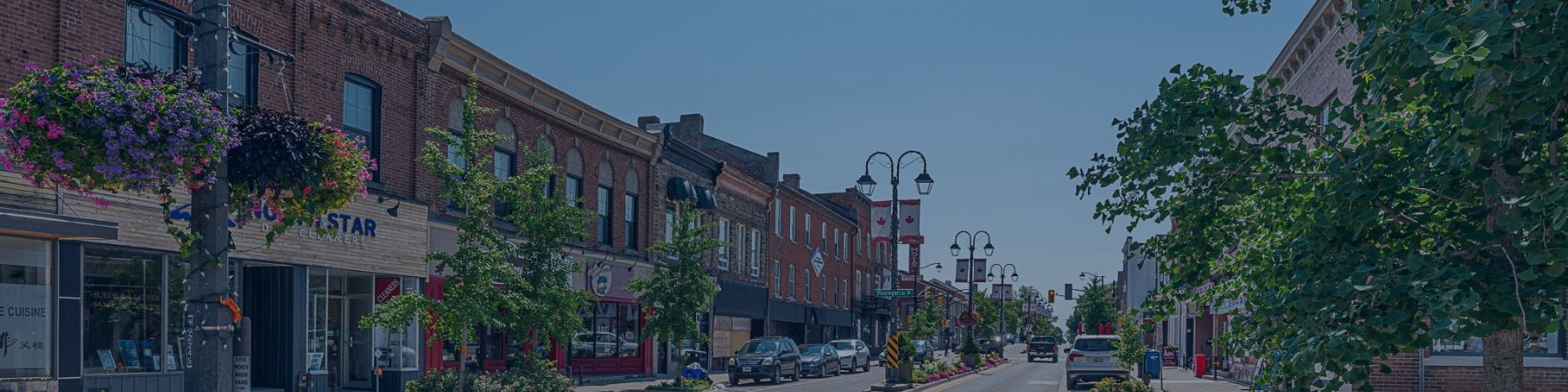 Community Support - Halton Hills