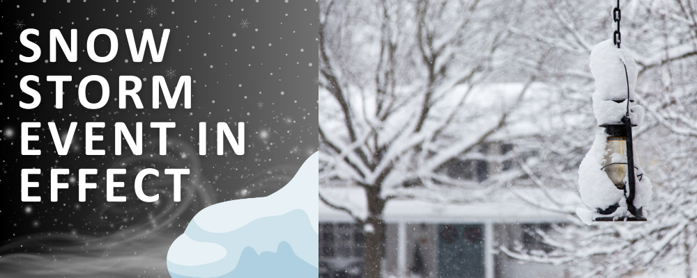 Snow Storm In Effect - Halton Hills